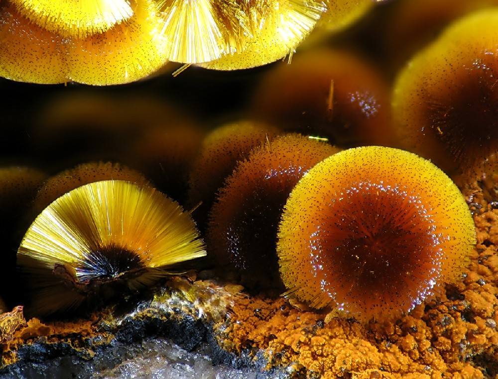 How to Identify Cacoxenite | Properties, Meaning & Uses