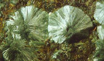 How to Identify Pumpellyite | Properties, Meaning & Uses