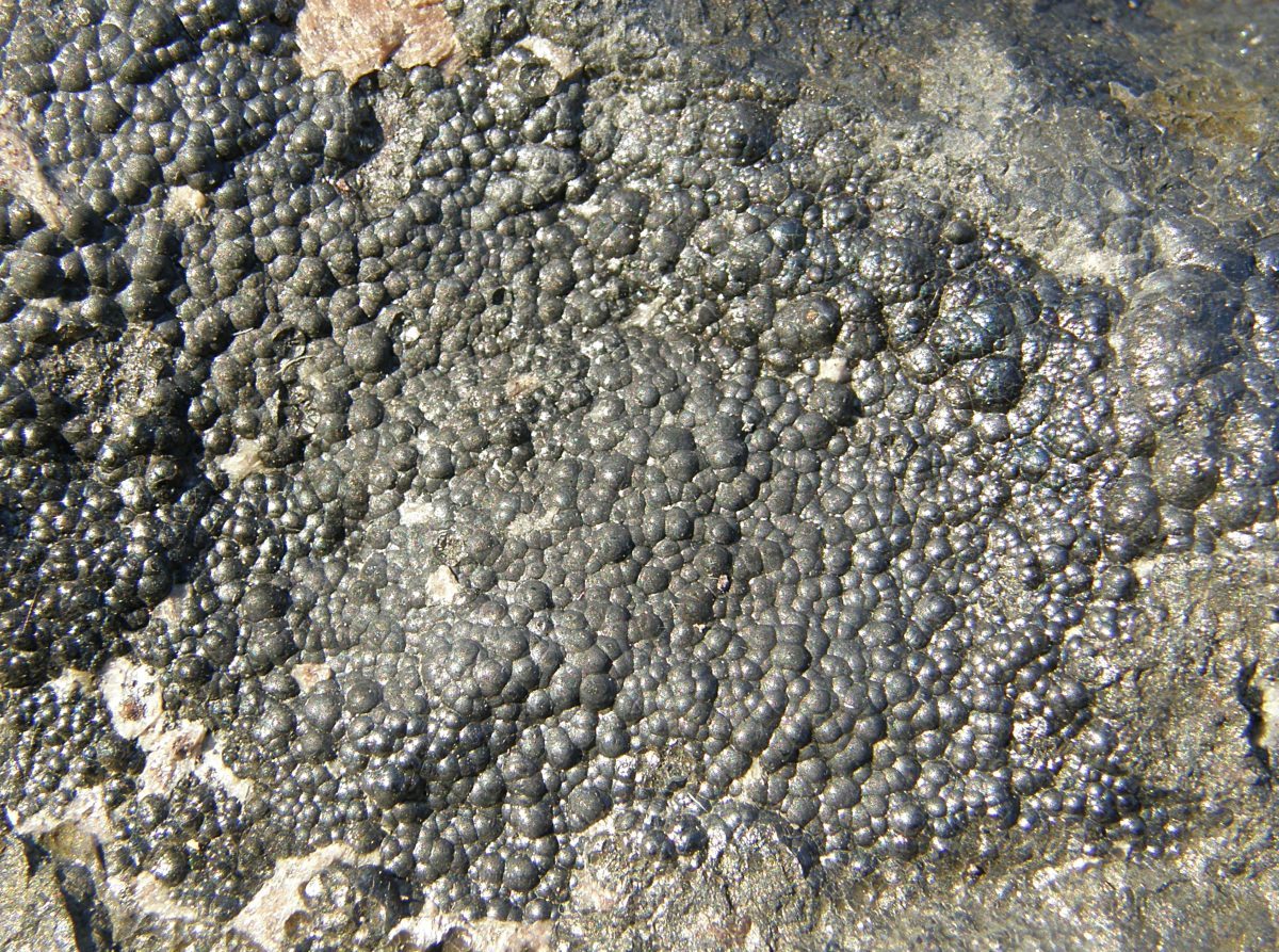 How to Identify Uraninite | Properties, Meaning & Uses